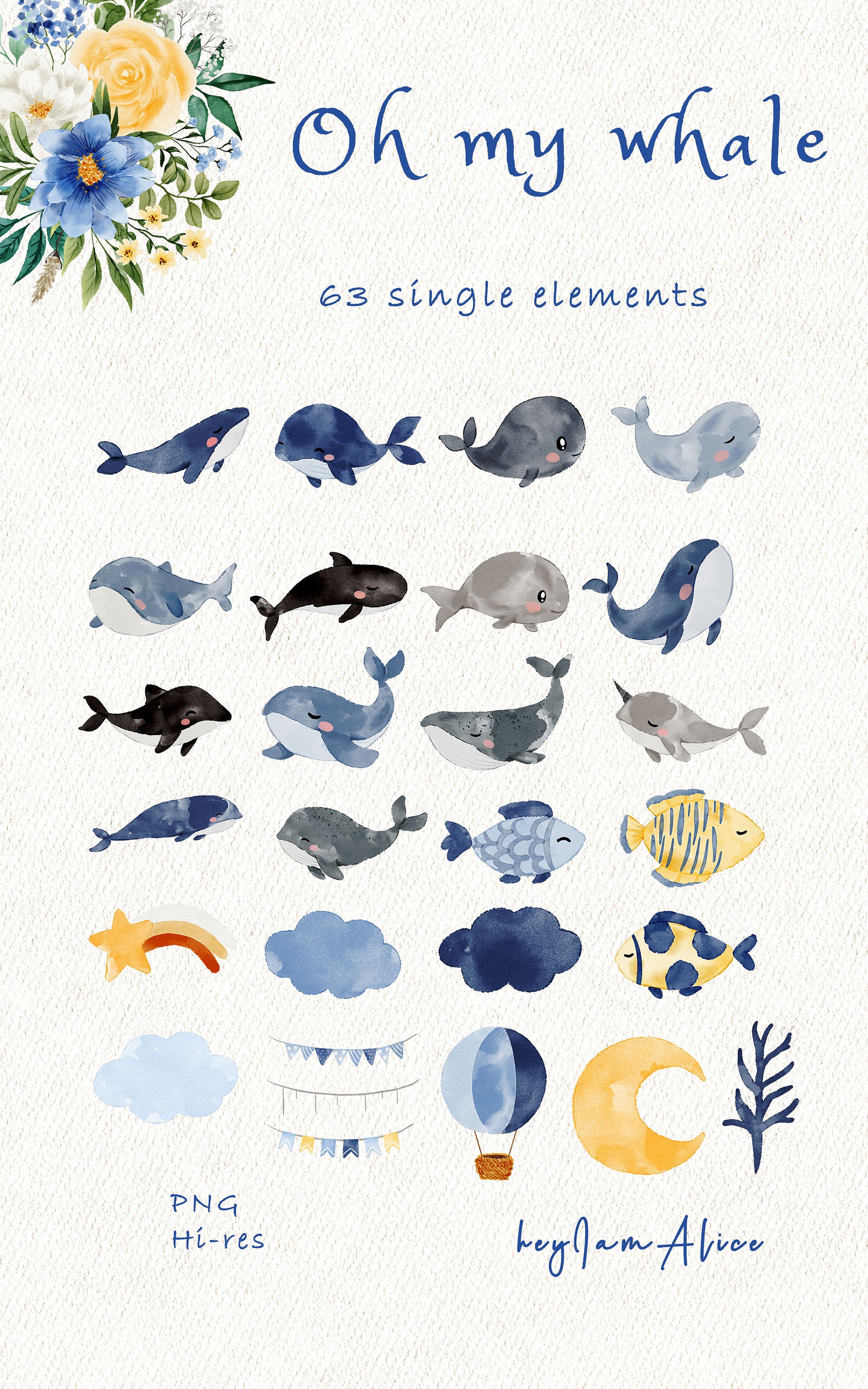 Whale clipart watercolor ocean graphic cute sea animal PNG | Etsy