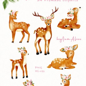 Baby Deer Clipart, Pink Watercolor Deer PNG, FREE COMMERCIAL Use, Baby ...