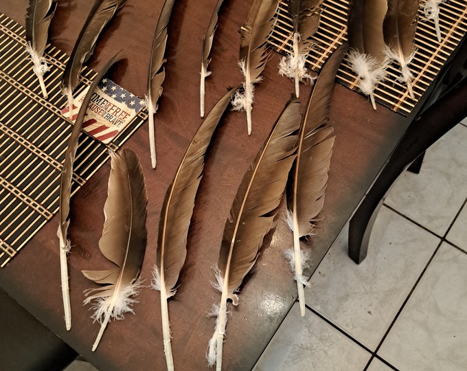 Hornbill Peyote Fan - Etsy