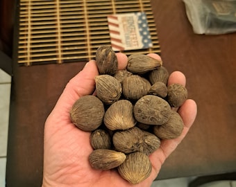 21 Ikines 4 Eyes Ifa African Palm Nuts - Etsy