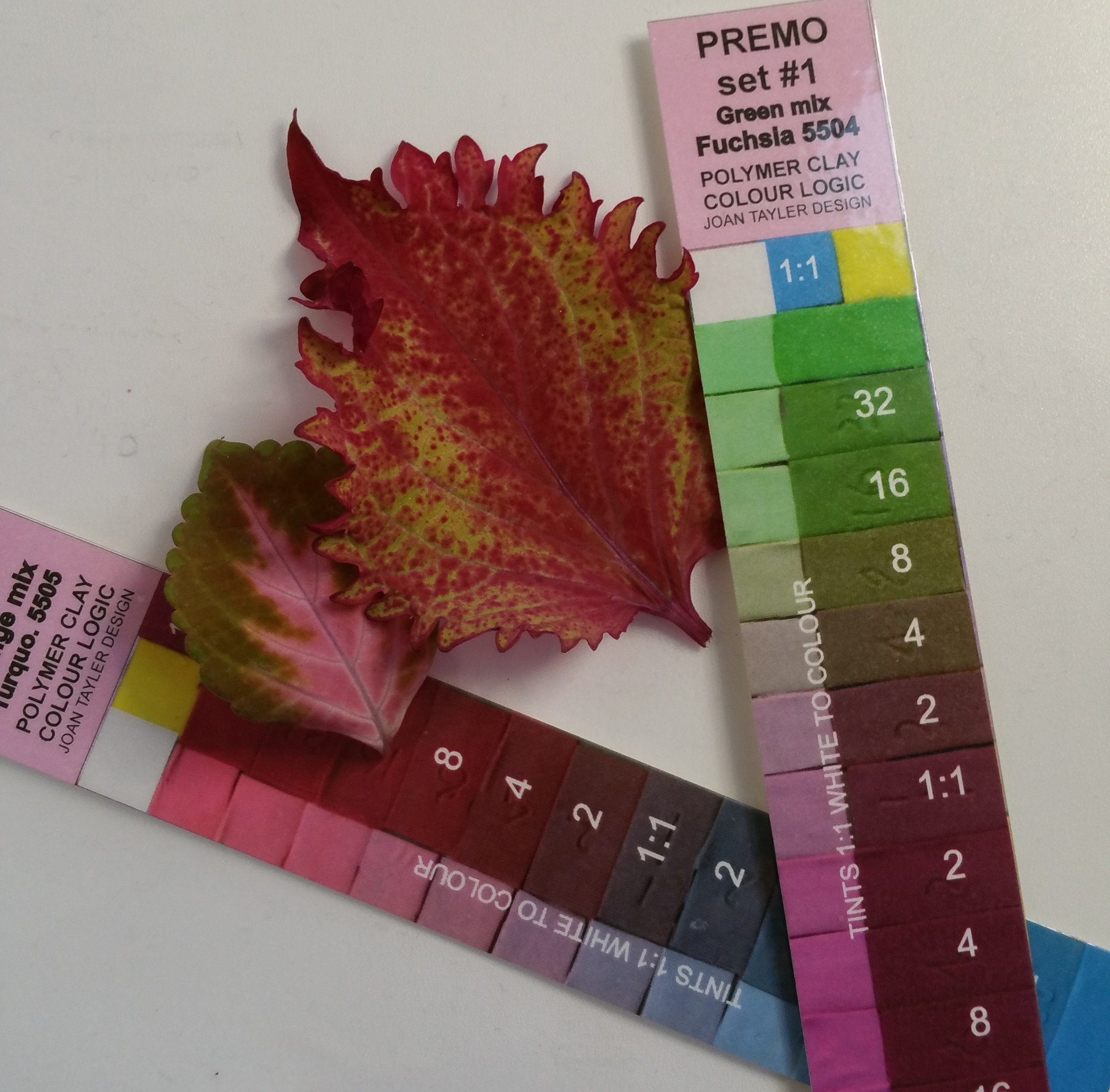 Downloadable Premo01 Stepped Colour Cards - Etsy