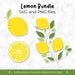 Lemon SVG Bundle - Cricut - Lemons PNG - Clipart - Cute Lemon Cricut ...