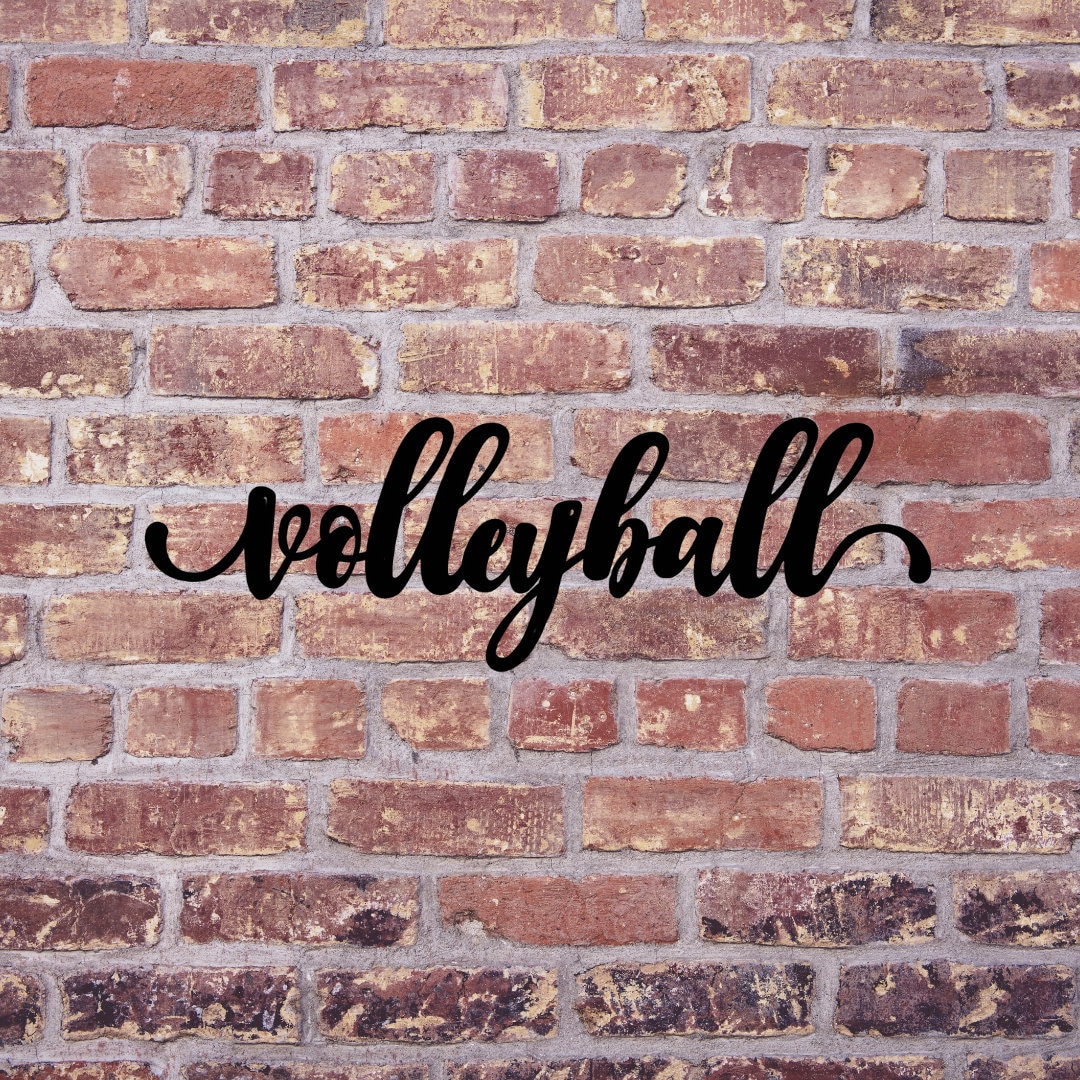 Volleyball Sign - Etsy