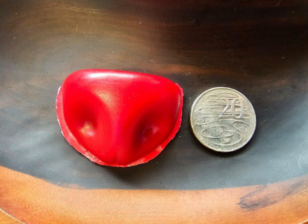 Small-flop Resin Red Nose - Etsy