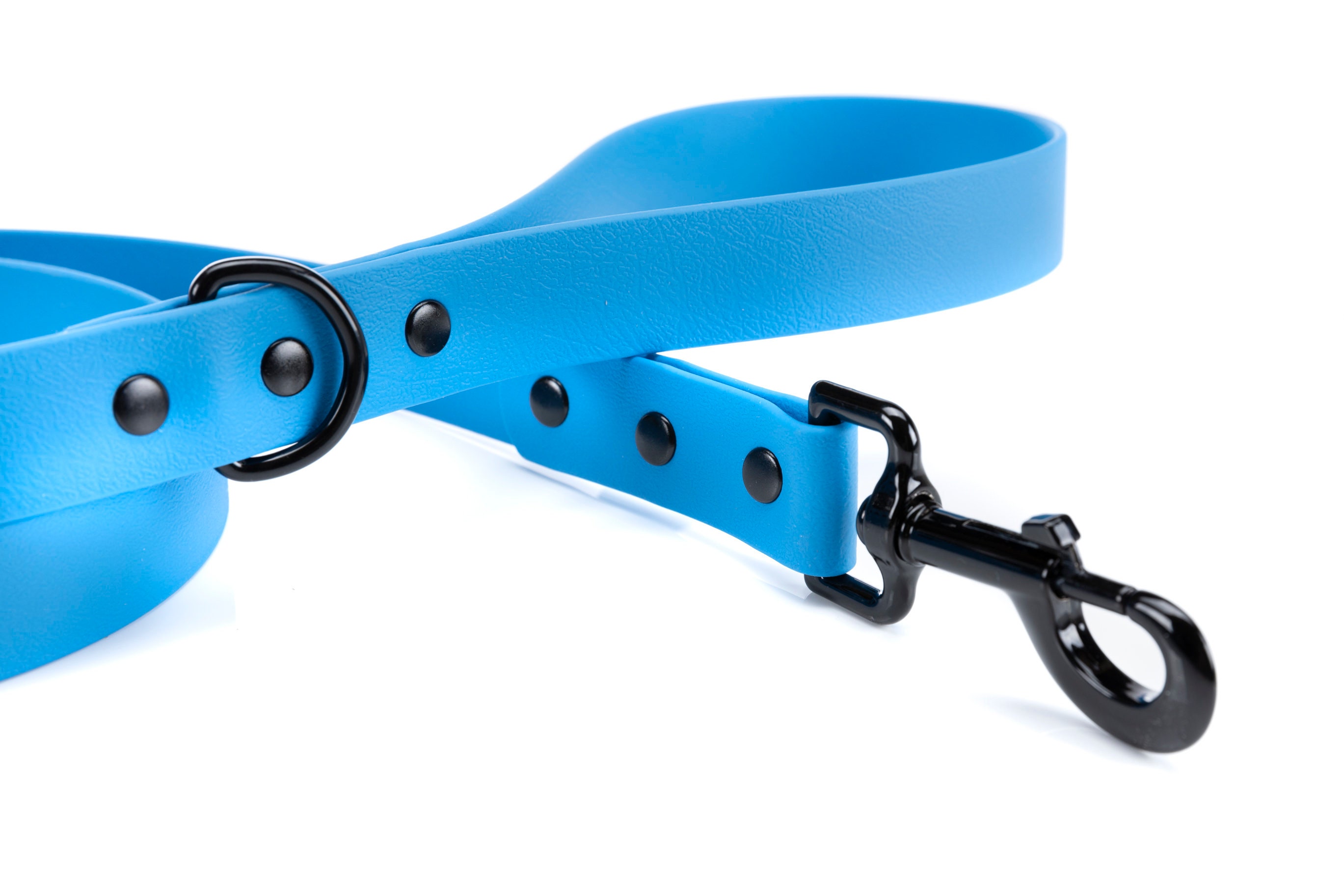 Henry & Sadie Ocean Blue Biothane Dog Leash - Etsy