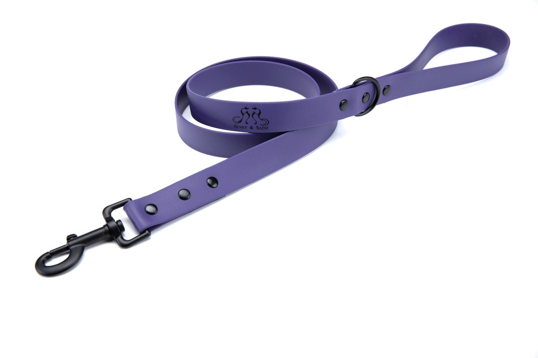 Henry & Sadie Purple Lead Made Using Beta Biothane® Webbing - Etsy