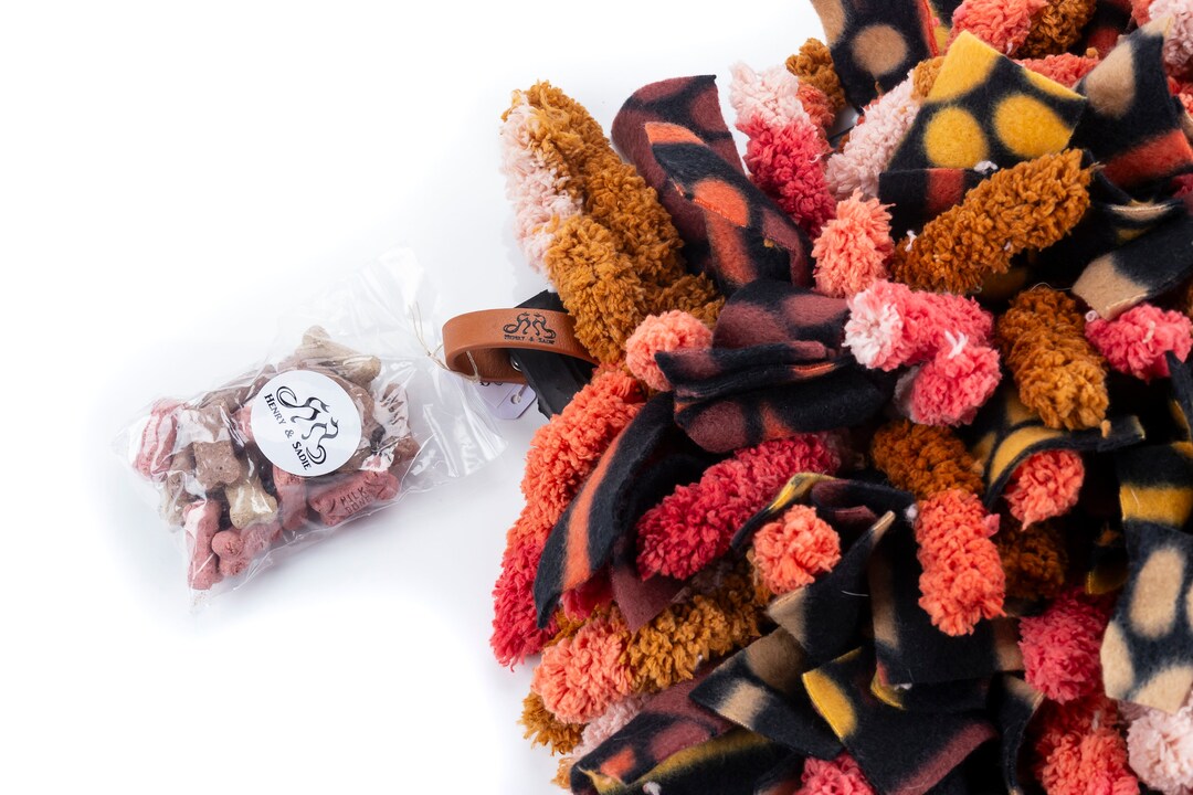 Henry & Sadie Dog Snuffle Mat - Etsy