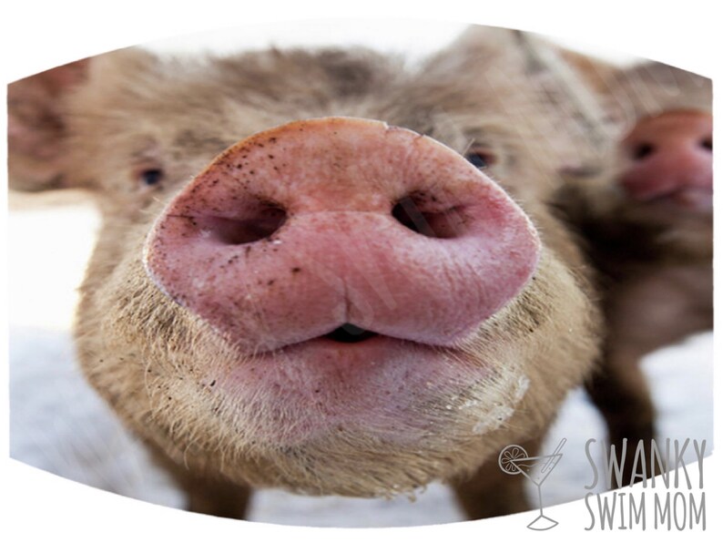 Pig snout printed face mask adjustable mask multi layer | Etsy