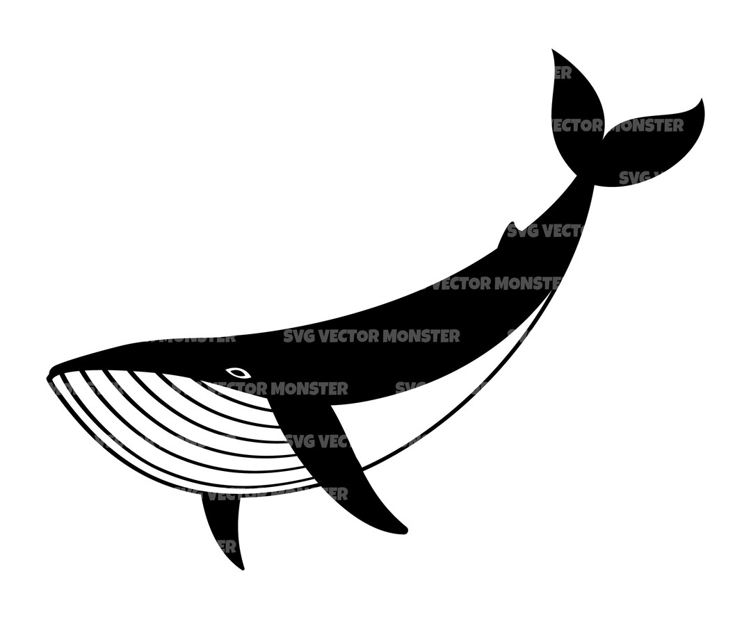 Fin Whale Svg, Whale Cut File, Whale Png, Whale Silhouette. Svg Pdf Eps ...