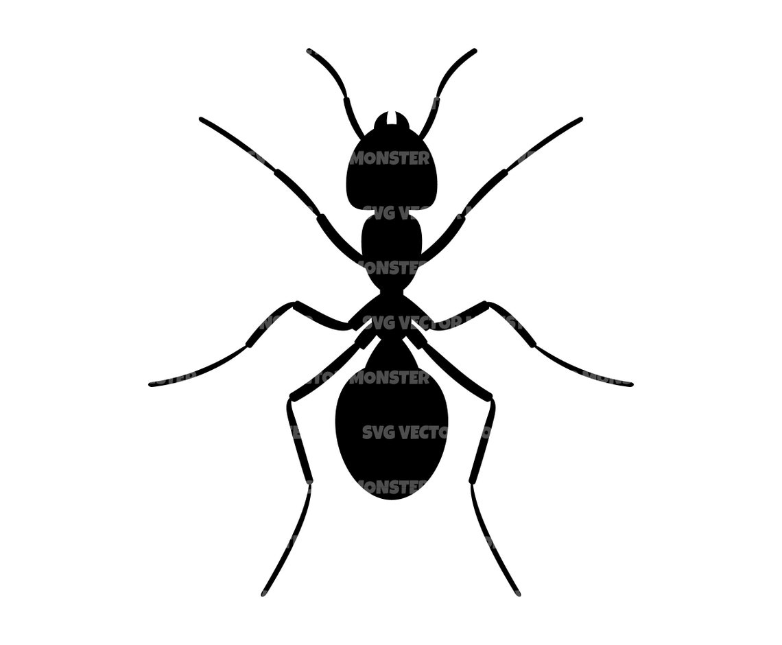 Ant Svg Bug Svg Insect Svg. Vector Cut File for Cricut - Etsy UK