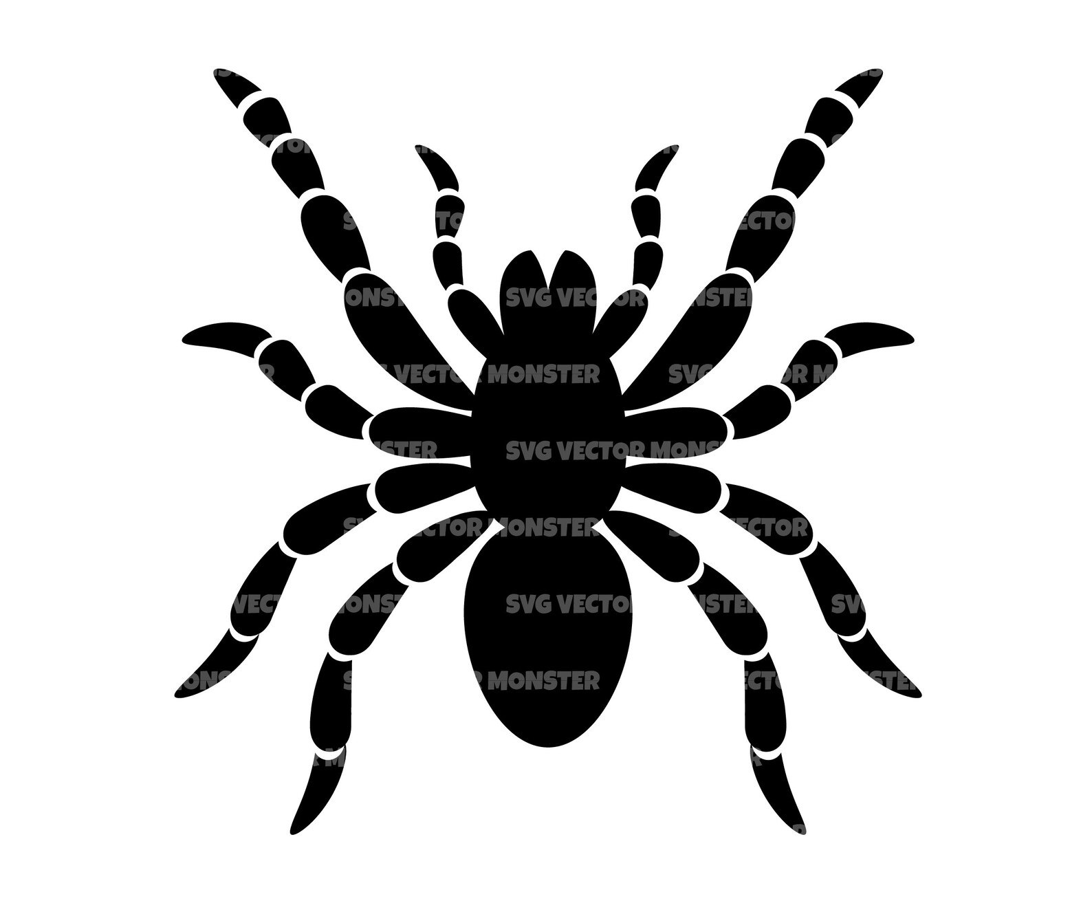 Tarantula Svg Spider Svg Bug Svg Insect Svg. Vector Cut - Etsy