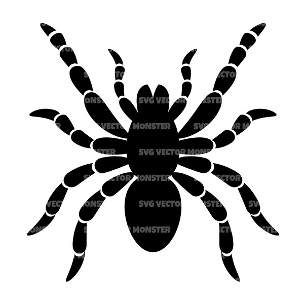 Tarantula Svg - Etsy
