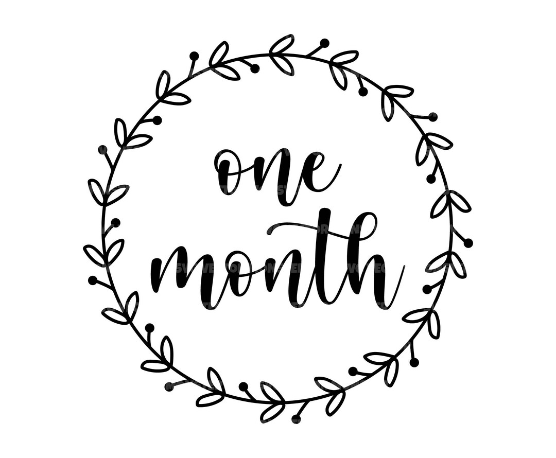 One Month Svg, Baby Monthly Milestone Svg, Baby Monthly Milestone ...