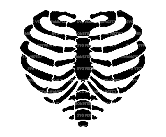 Heart Rib Cage Drawing