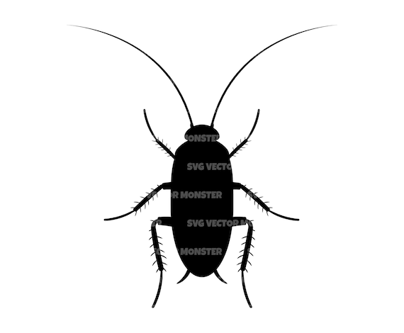 Cockroach Svg Insect Svg Bug Svg. Vector Cut file for - Etsy España