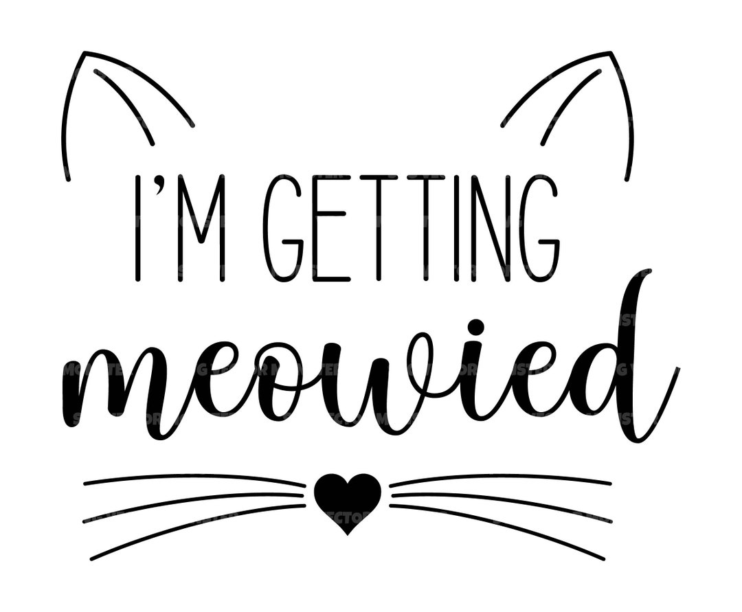 I'm Getting Meowied Svg, Here to Purrrty Svg. Vector Cut File for ...