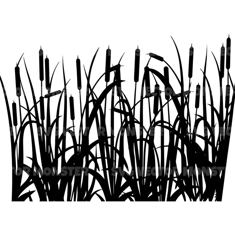 Reeds Svg - Etsy