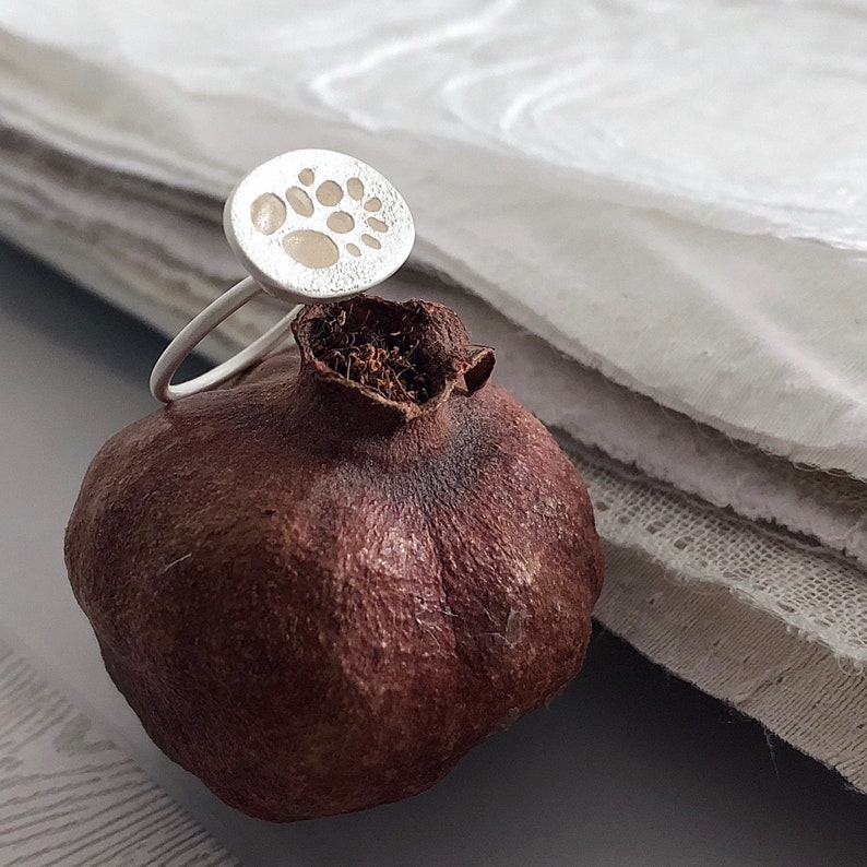 White Sterling Silver Seed Pod Ring, Hollow Form With Holes - Etsy Canada