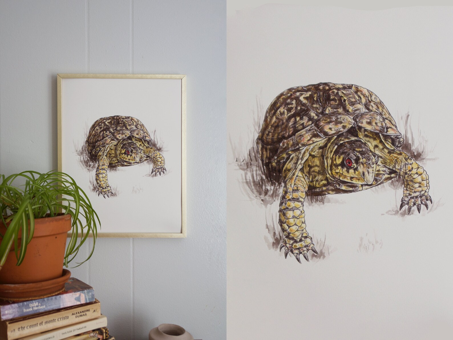 Eastern Box Turtle Print Nature Wildlife Art Print Eastern - Etsy