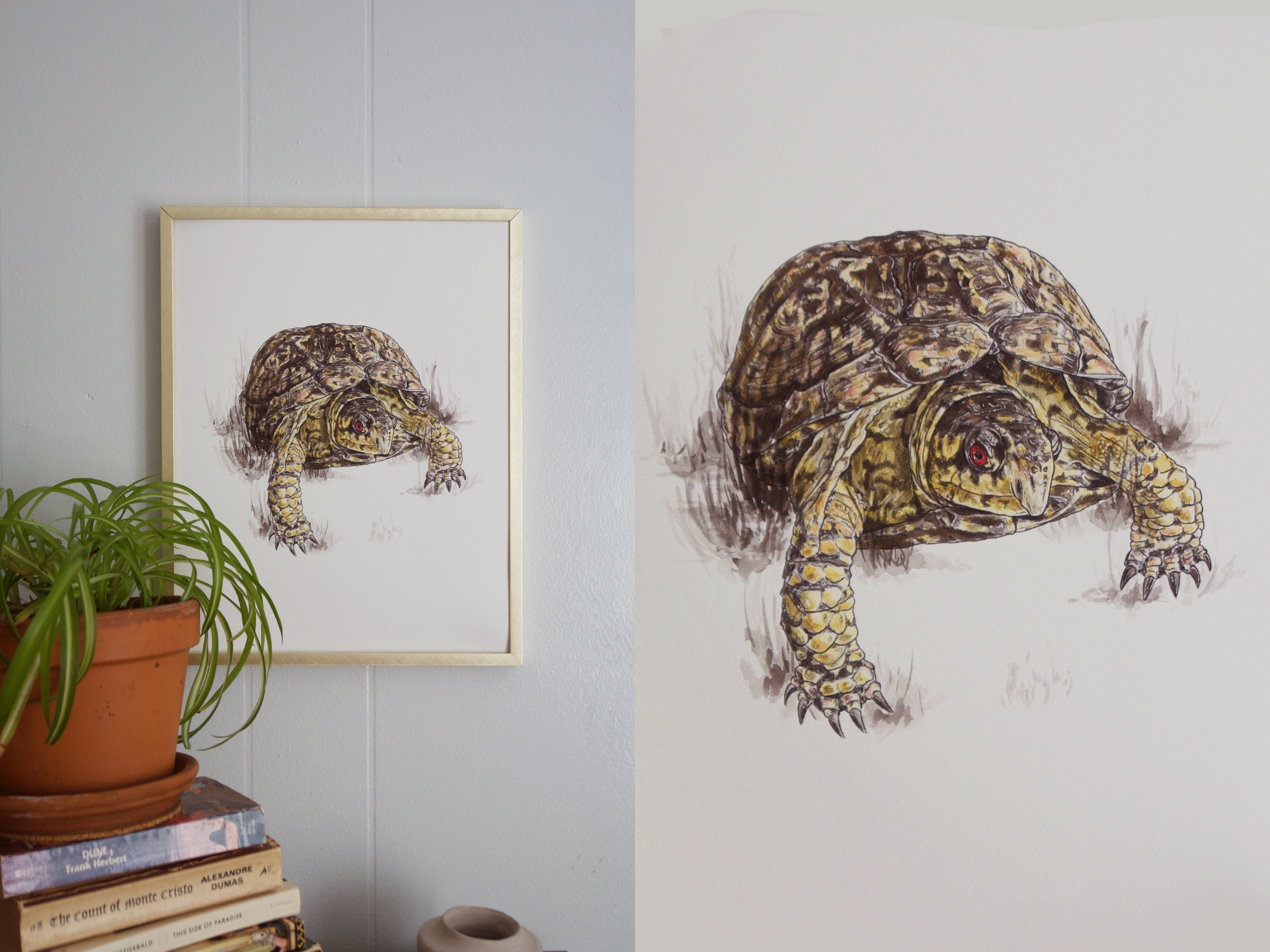 Eastern Box Turtle Print Nature Wildlife Art Print Eastern - Etsy