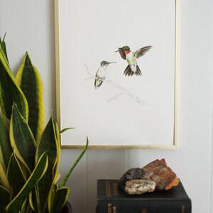 Ruby-throated Hummingbird Print, Nature Wildlife Art Print, Hummingbird ...