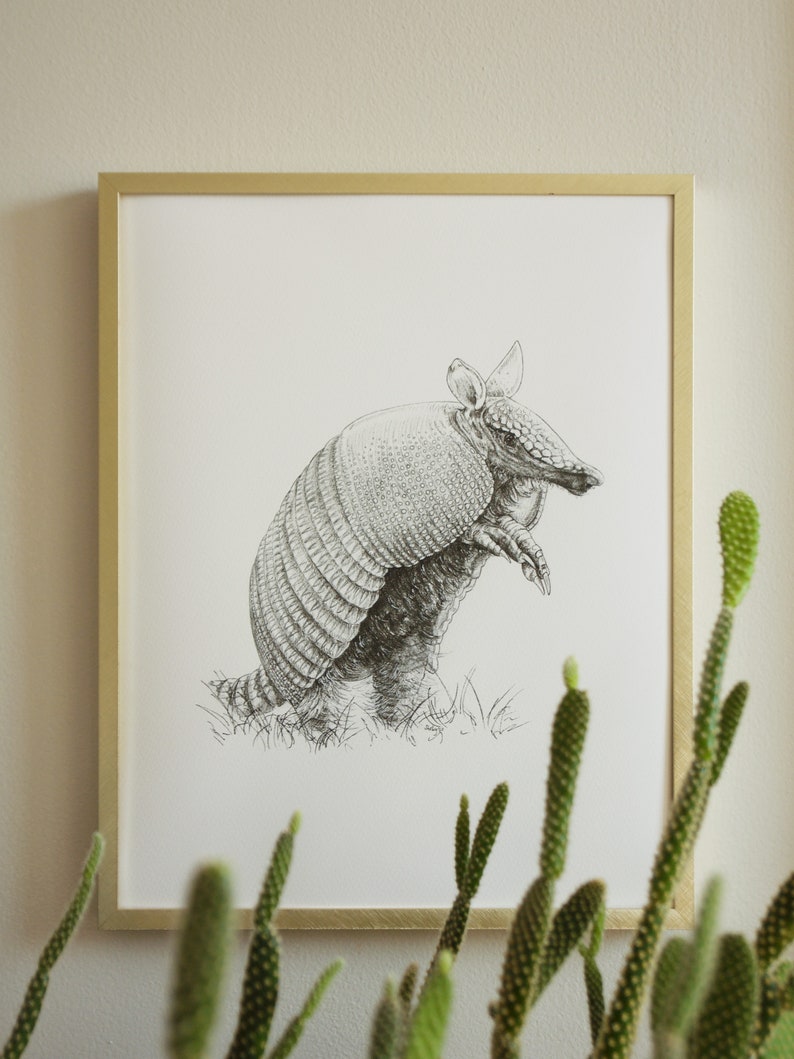 Armadillo Print, Nature Wildlife Art Print, Realistic Armadillo Pencil Drawing, Giclée Art Print ...