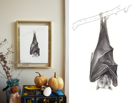 S Faced Fruit Bat Fiji Money