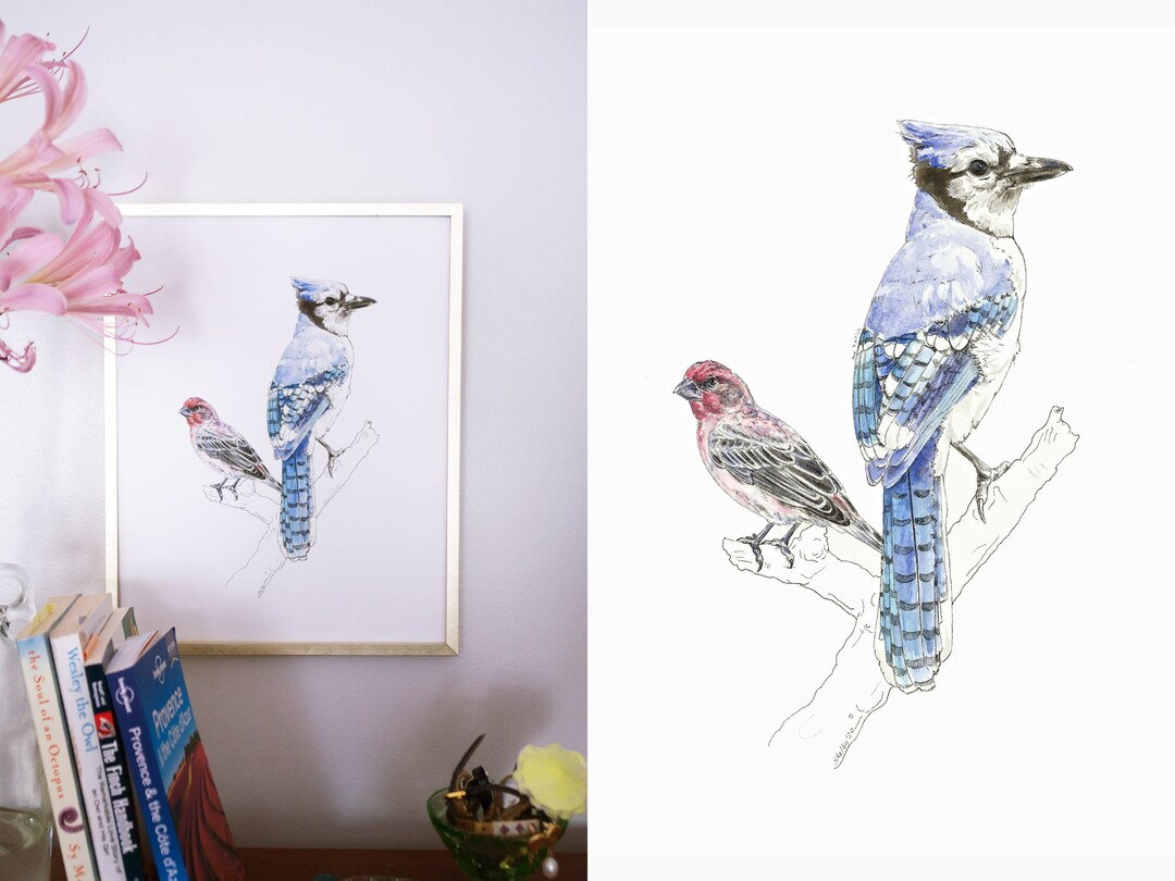 Blue Jay and House Finch Print, Nature Wildlife Art Print, Blue Jay and ...
