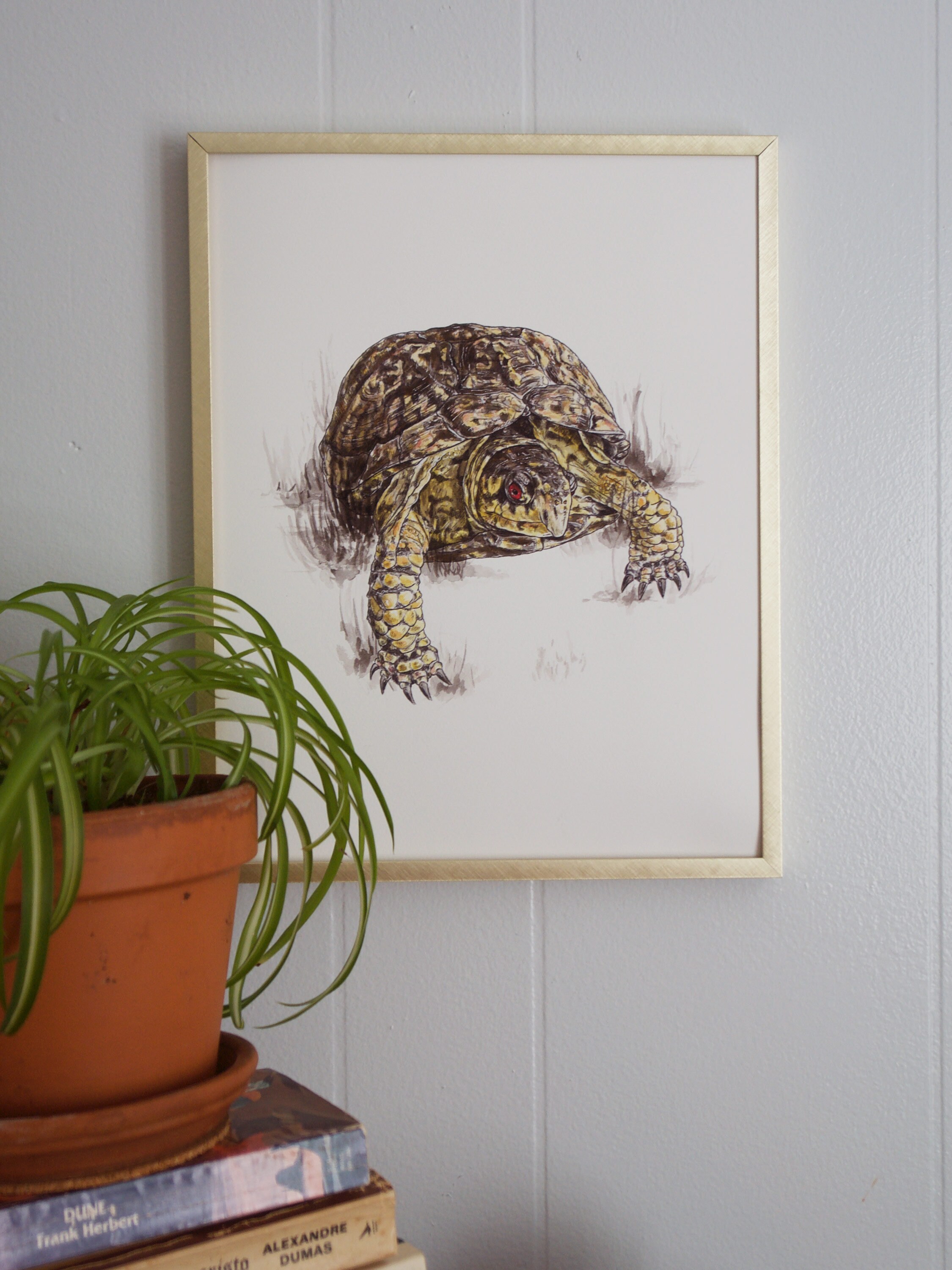 Eastern Box Turtle Print Nature Wildlife Art Print Eastern - Etsy