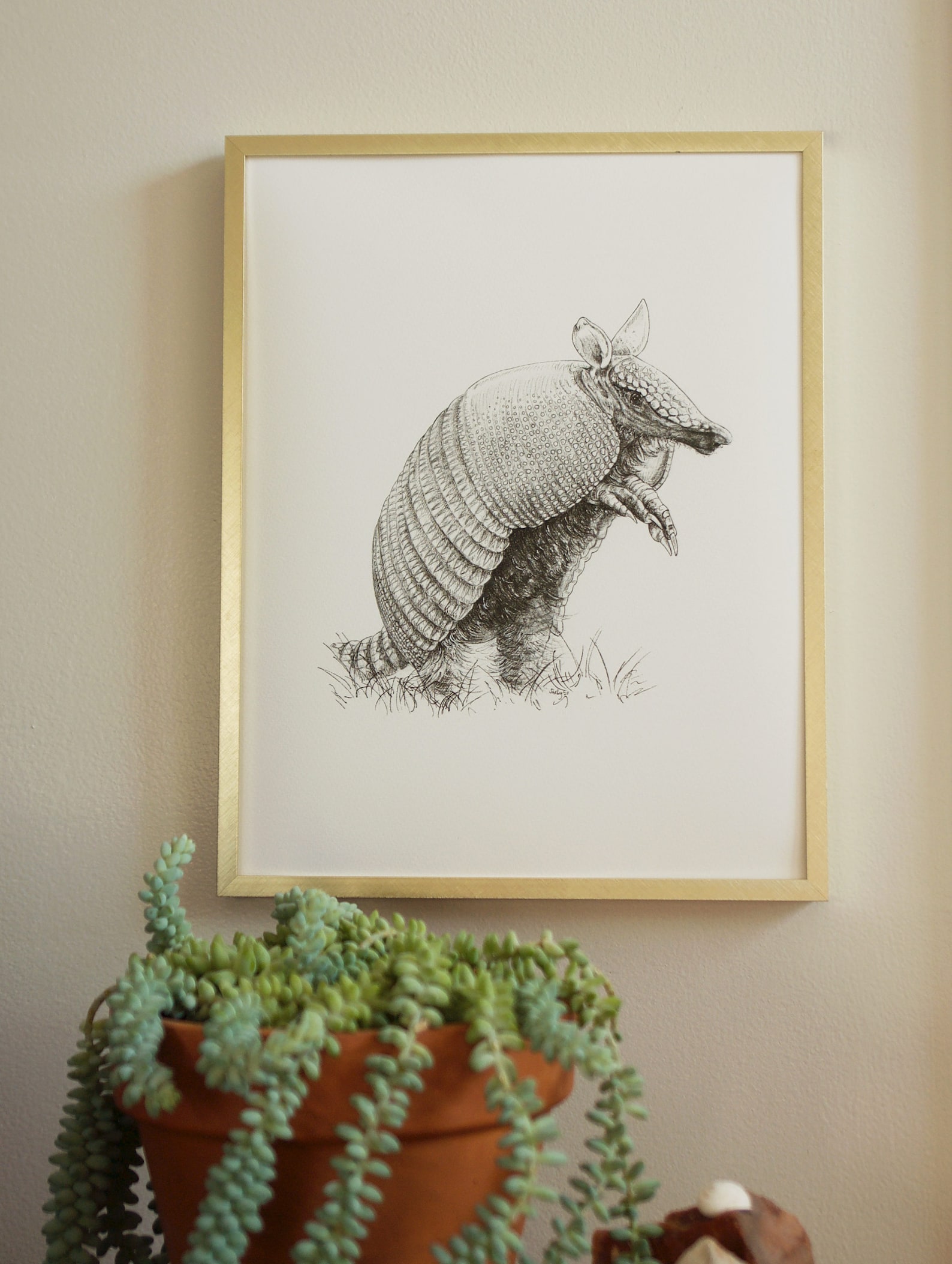 Armadillo Print, Nature Wildlife Art Print, Realistic Armadillo Pencil ...