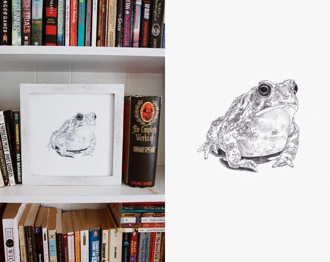 American Toad Print, Nature Wildlife Art Print, Realistic American Toad ...