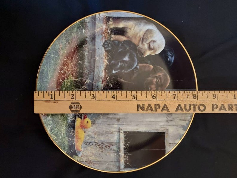 The Danbury Mint the Sportsmen 7 Display Only Plates Dog Labrador 1992 ...