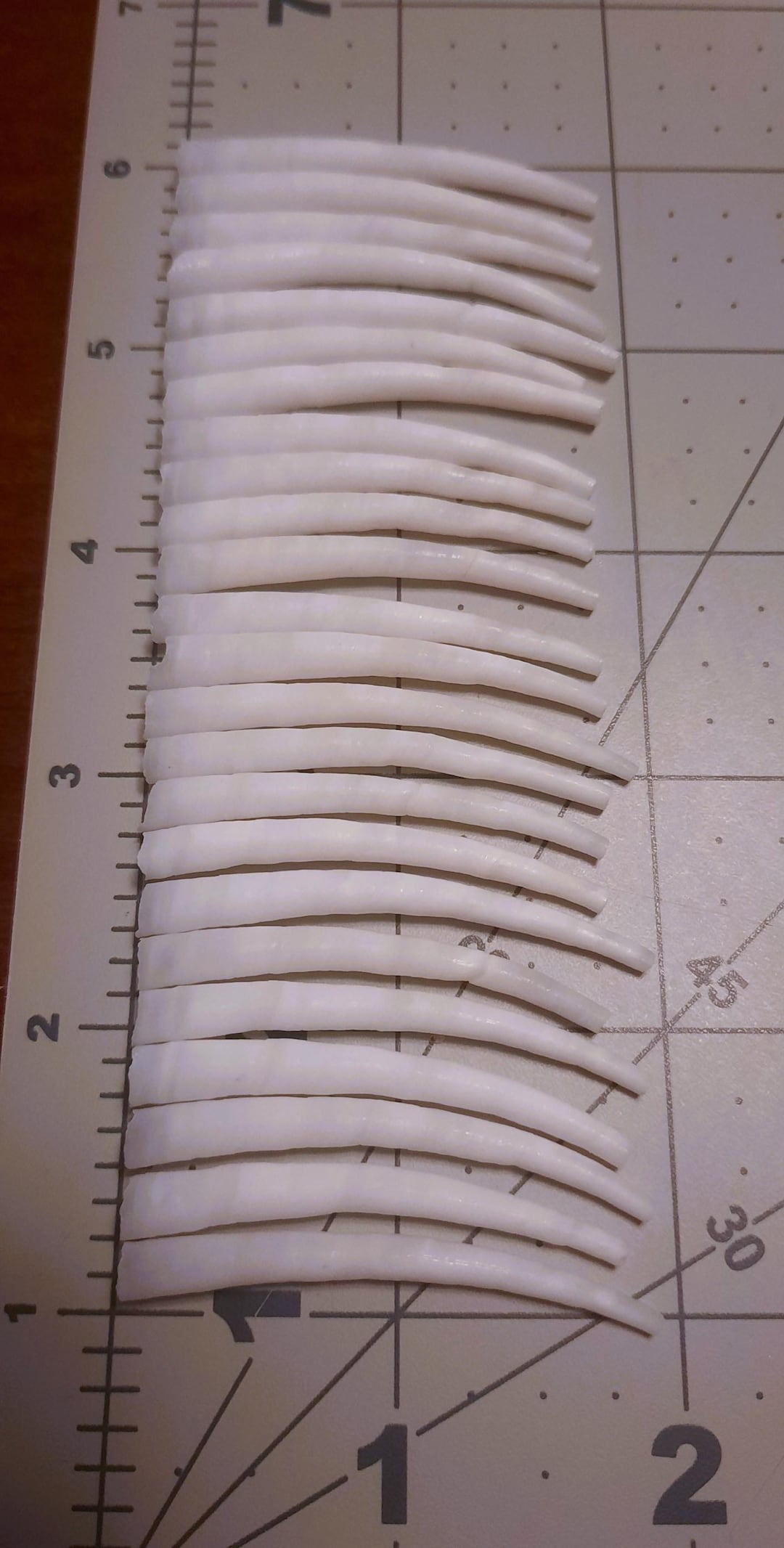 Dentalium Shells, 1.75"+ - Etsy