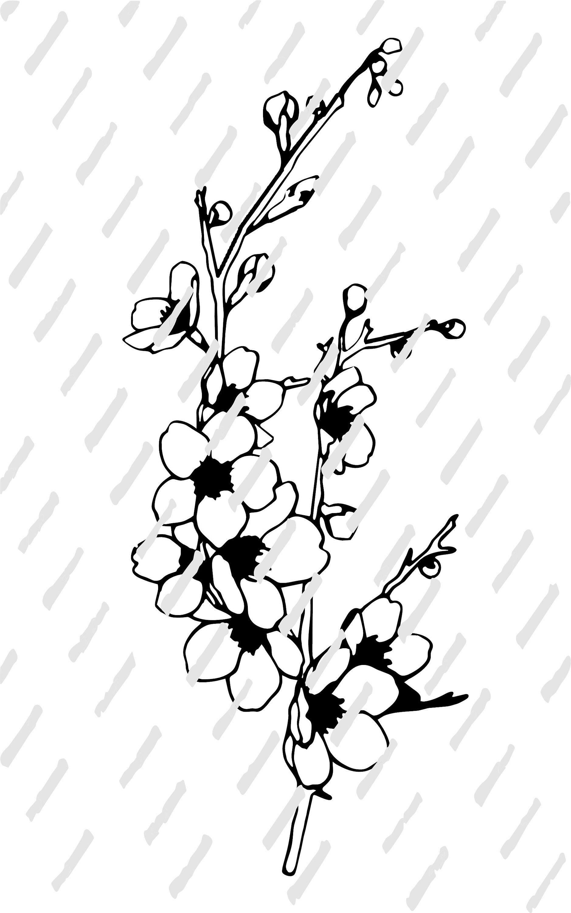 Cherry Blossom Cut File SVG Download File - Etsy