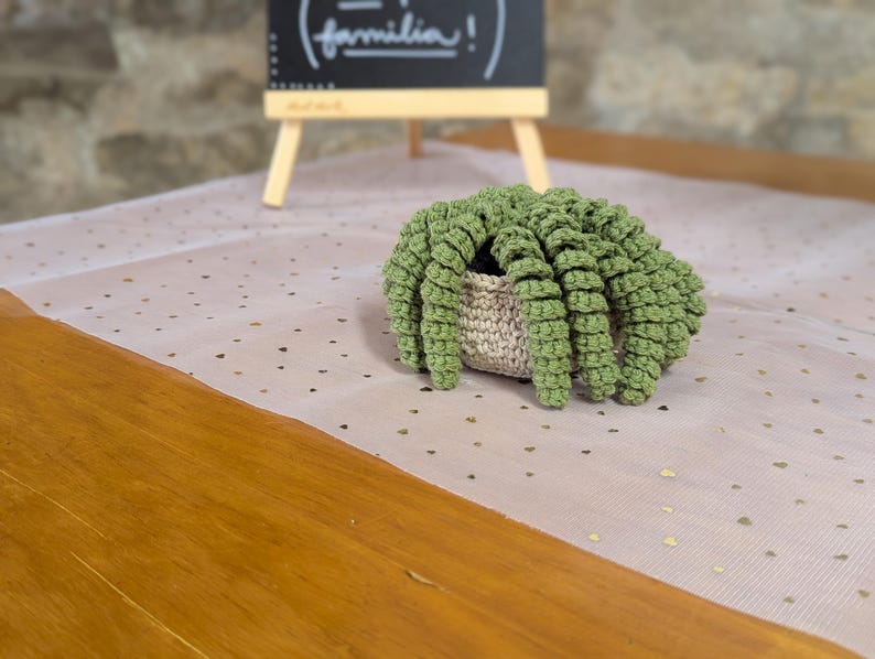 Marta Plant Crochet PDF Pattern – Plant Lover Gift, Home Decoration ...