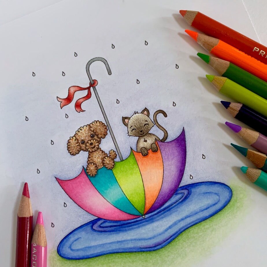 It's Raining Cats and Dogs - Etsy