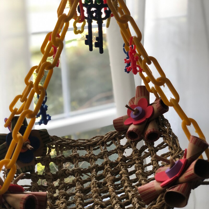 Parrot Toys - Etsy
