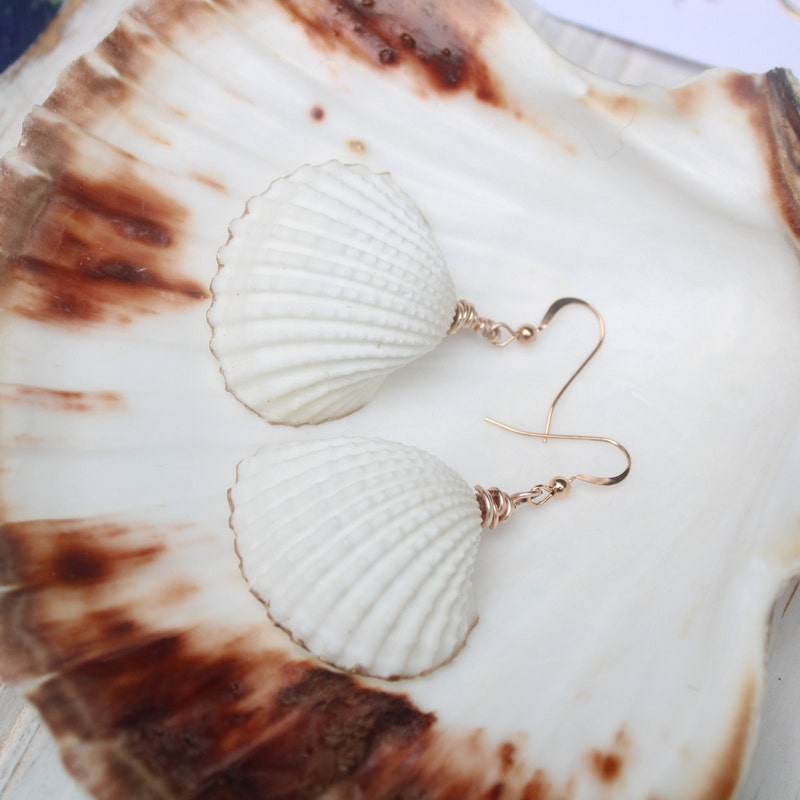White Shell Earrings - Etsy