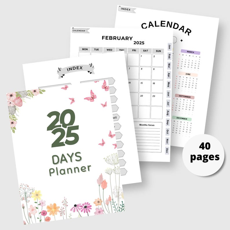 2025 Days Planner daily, Weekly Monthly Organizer Undated Printable ...