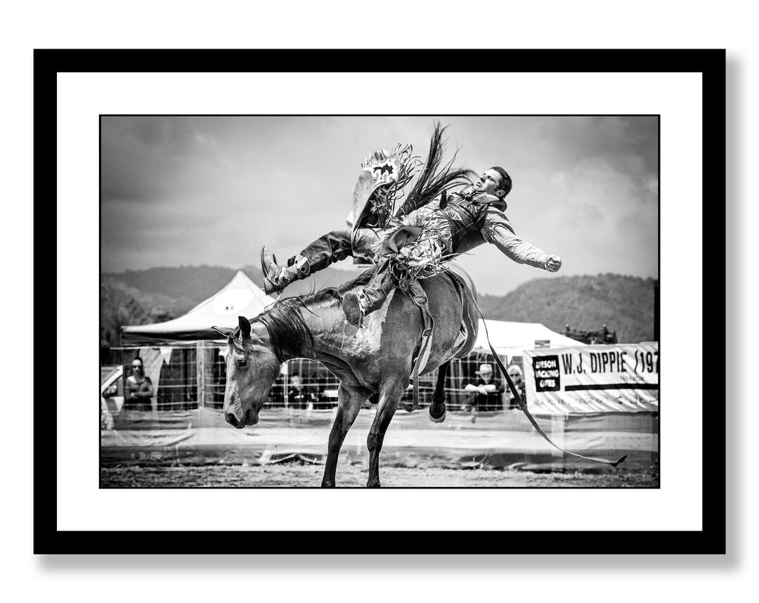 Rodeo Horse Photography Fine Art Prints. Minimalist Cowboy Fine Art ...