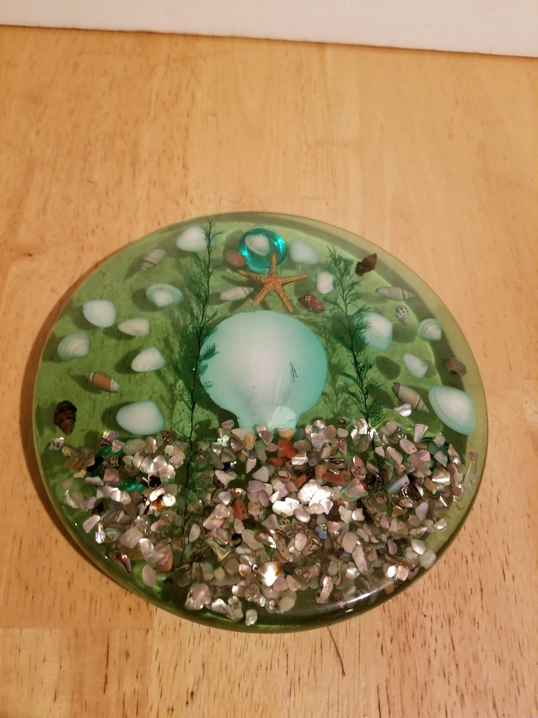 Round Lucite Trivet With Sea Shells Inside - Etsy