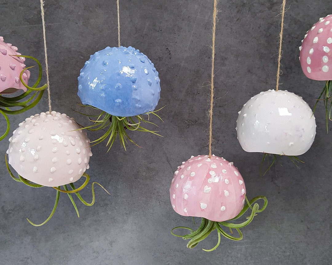 Whimsical Ceramic Jellyfish Planter for Air Plants - Modern Hanging ...