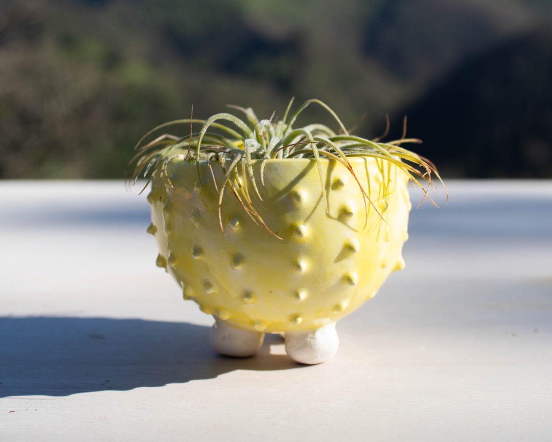 Small Ceramic Footed Planter With Leg, Mini Succulent Pot for Office ...