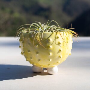 Small Ceramic Footed Planter With Leg, Mini Succulent Pot for Office ...