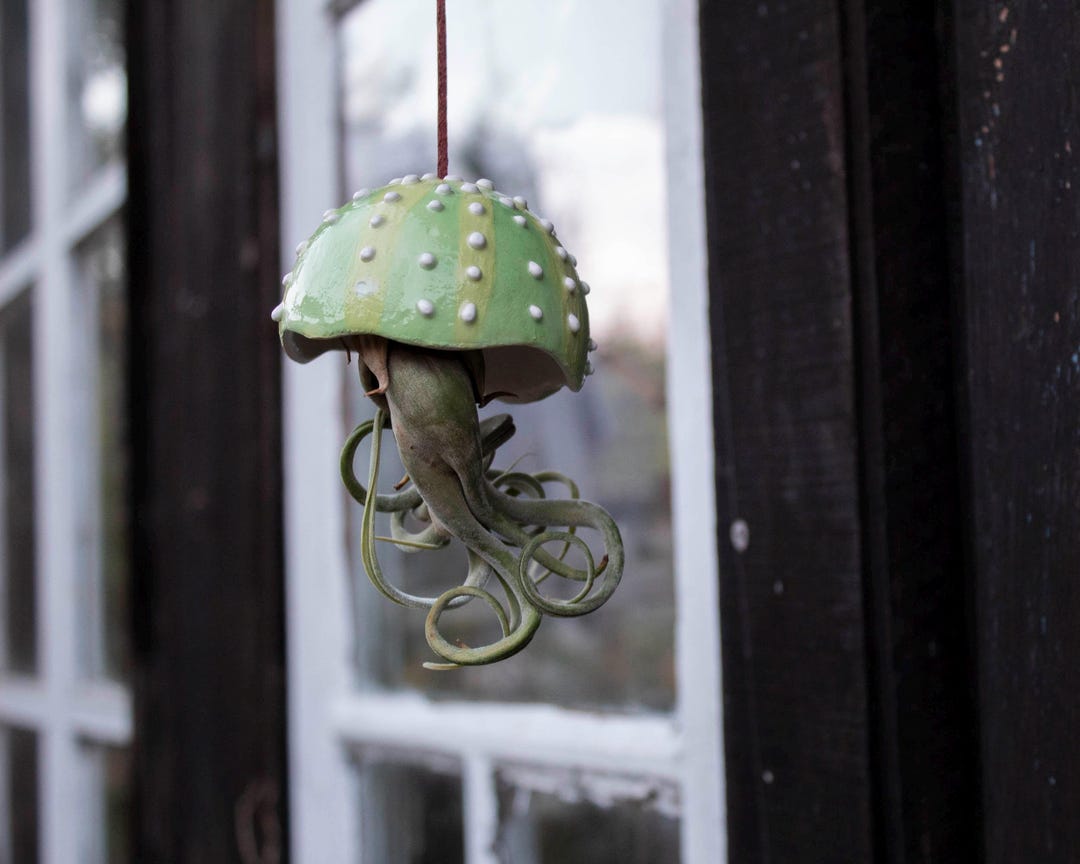 Charming Ceramic Jellyfish Hanging Planter for Air Plants - Unique Home ...