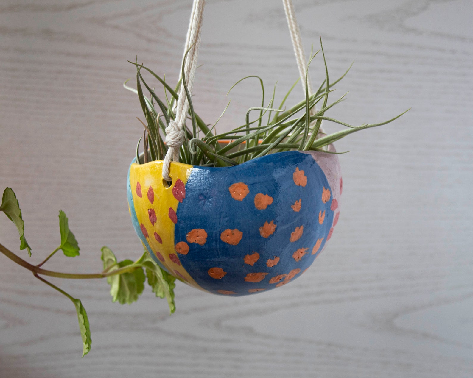Sphere Planter Indoor, Hanging Flower Pot Boho Decor - Etsy
