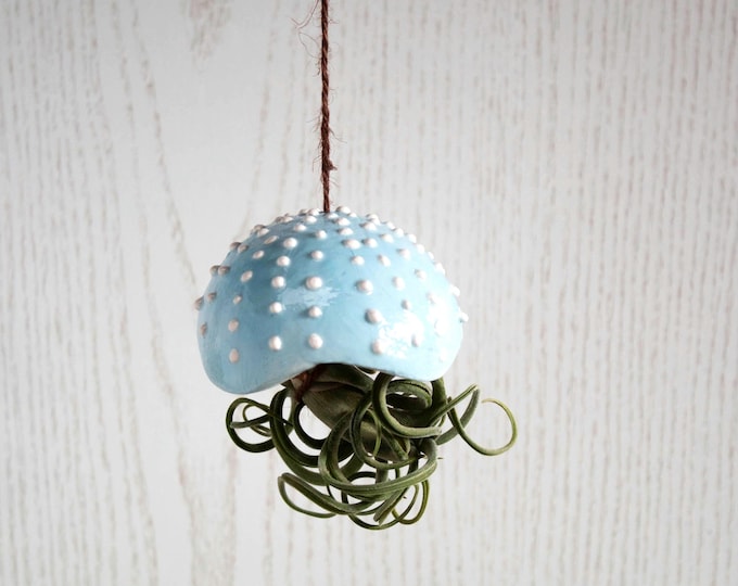 Jellyfish Hanging Planter. A Cute Air Planter Jellyfish Shaped to Hold ...