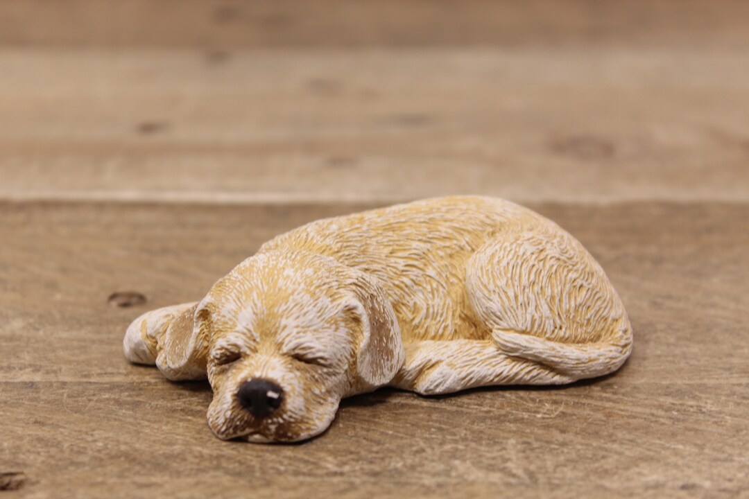 Vintage Sandicast Snoozer S02 Yellow Lab Dog Figurine by - Etsy