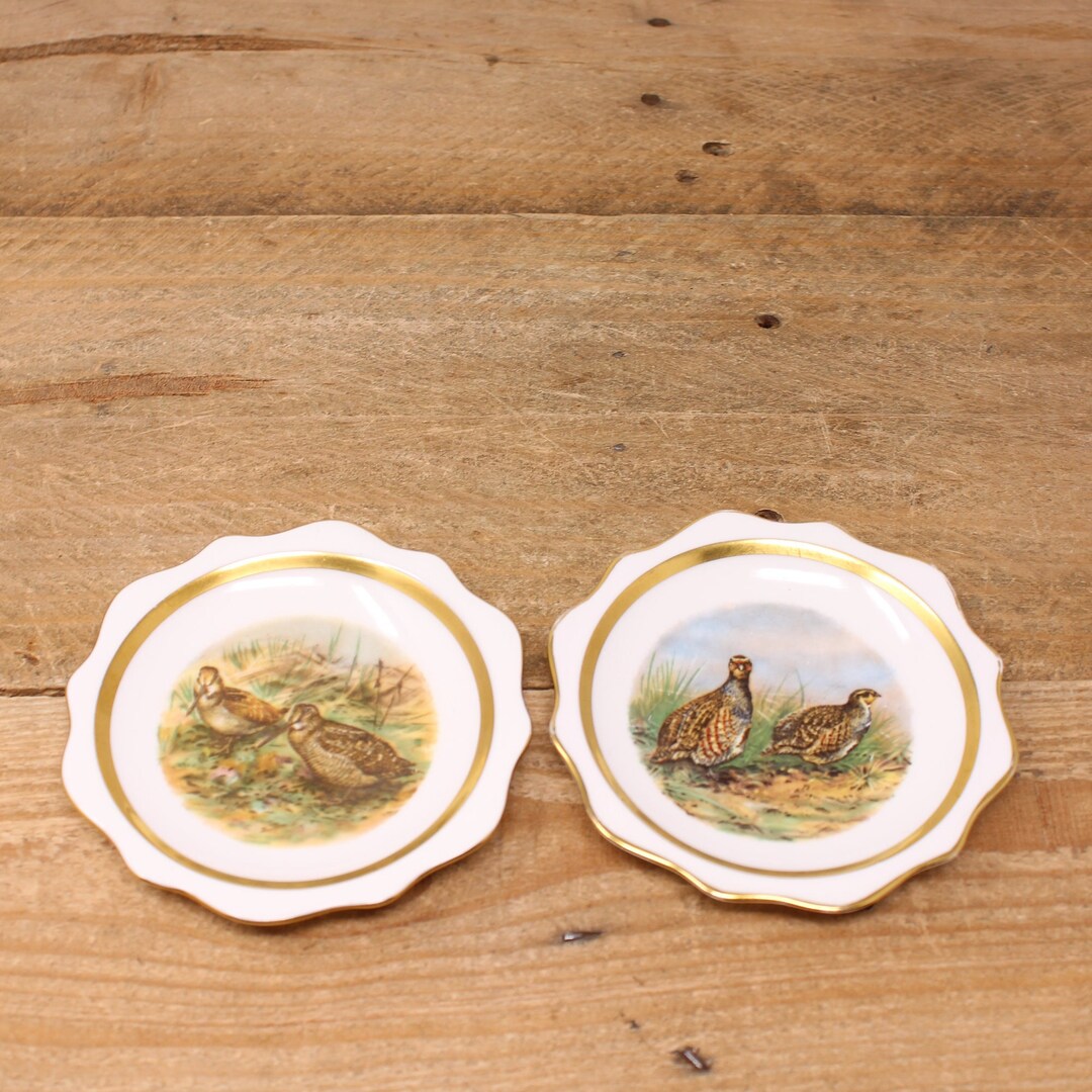 2 Vintage Royal Albert Coasters - Game Birds Design - Etsy