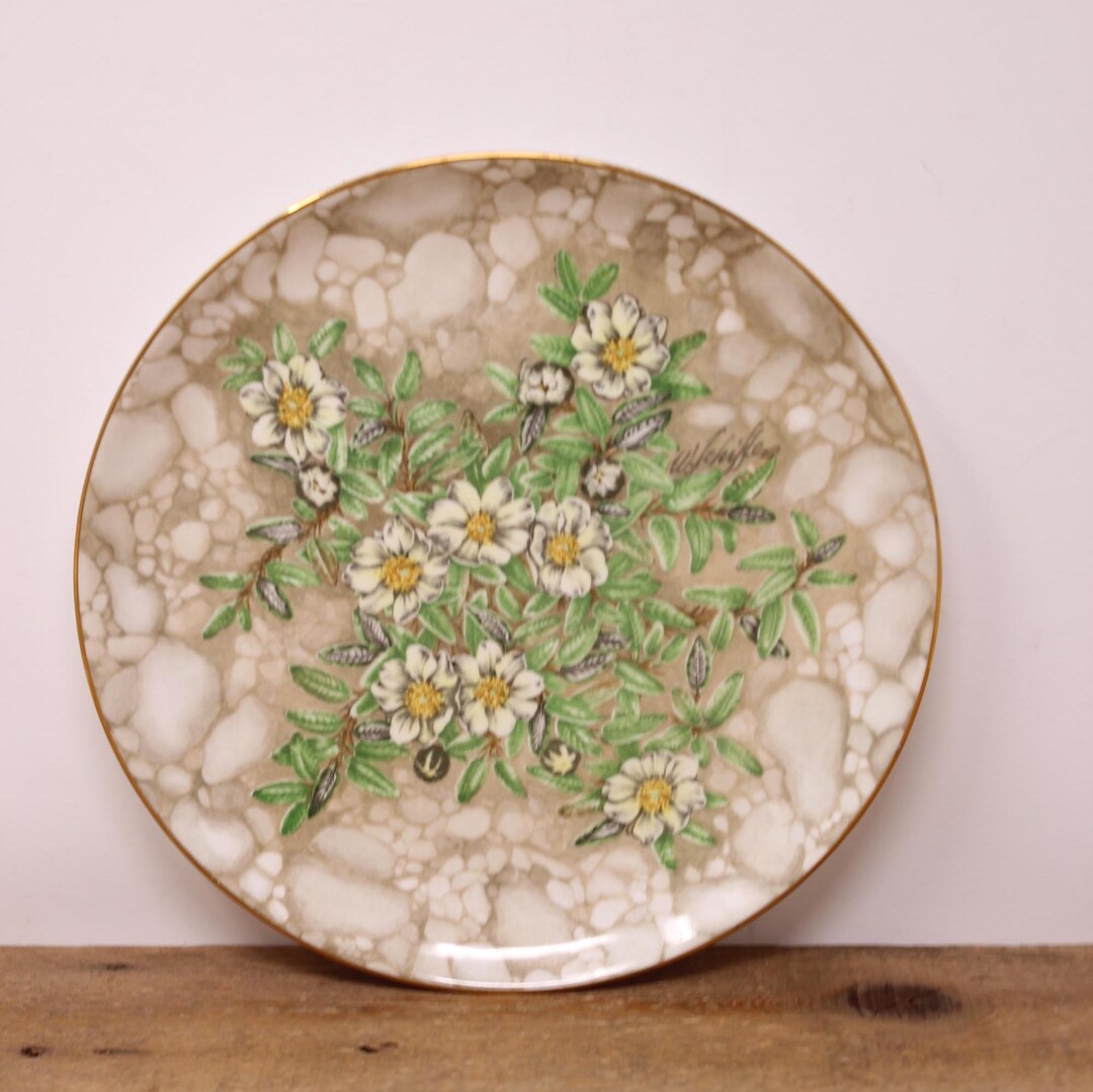 Vintage "the North West Territories - Mountain Avens" Design Wall Decor ...